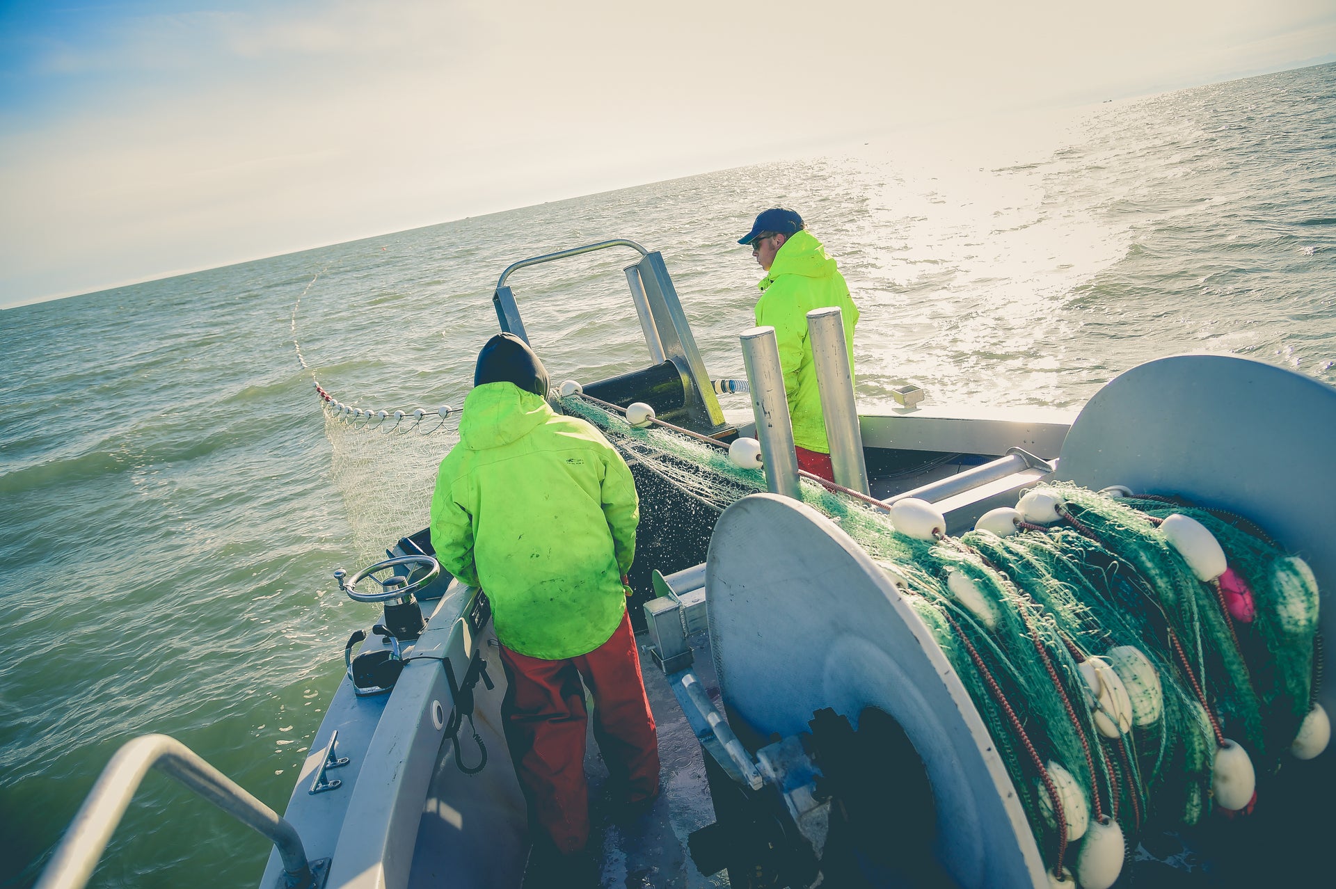 Eat wild to save wild...what does it mean? – Sena Sea