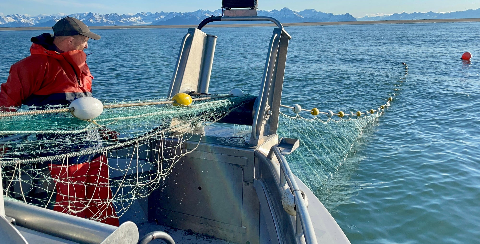 Wild Alaskan Fish | Alaska Seafood Delivery | Sena Sea